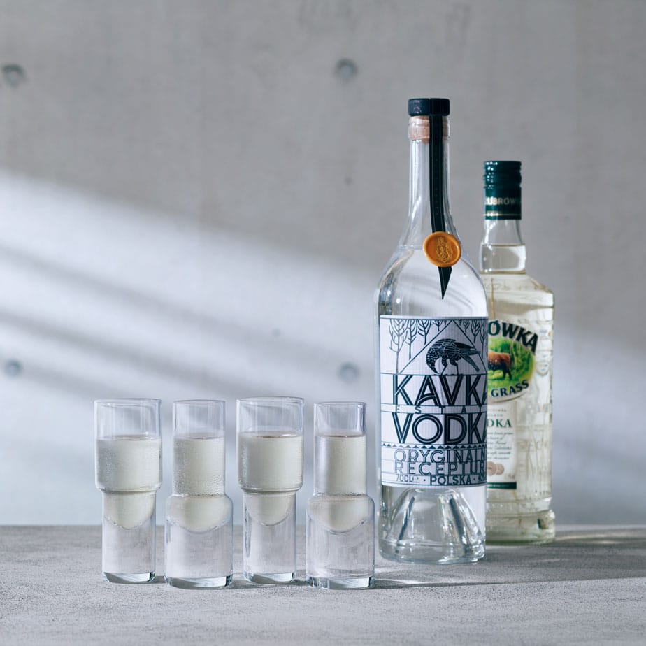 Vodka Shot Glasses, Set of 4 - accents